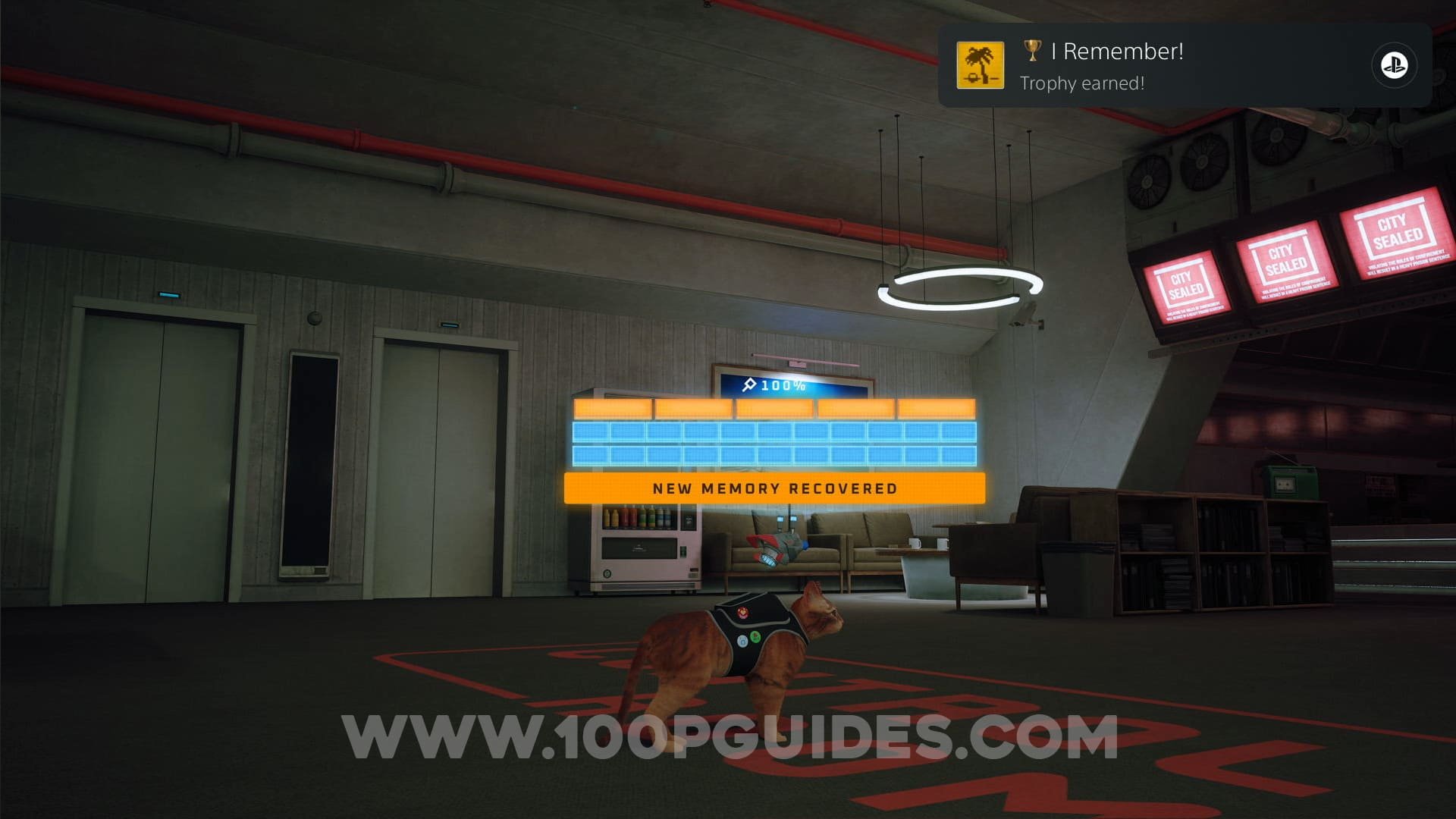 Stray All Chapter 12 Collectible Locations — 100% Guides