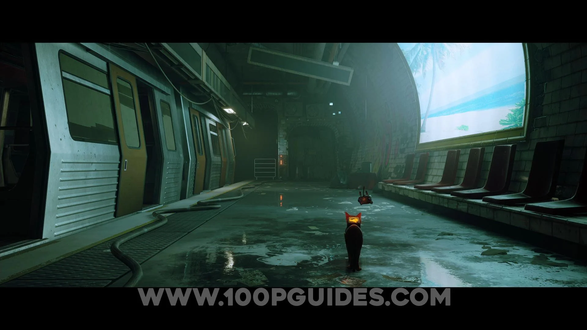 Stray All Chapter 10 Collectible Locations — 100% Guides