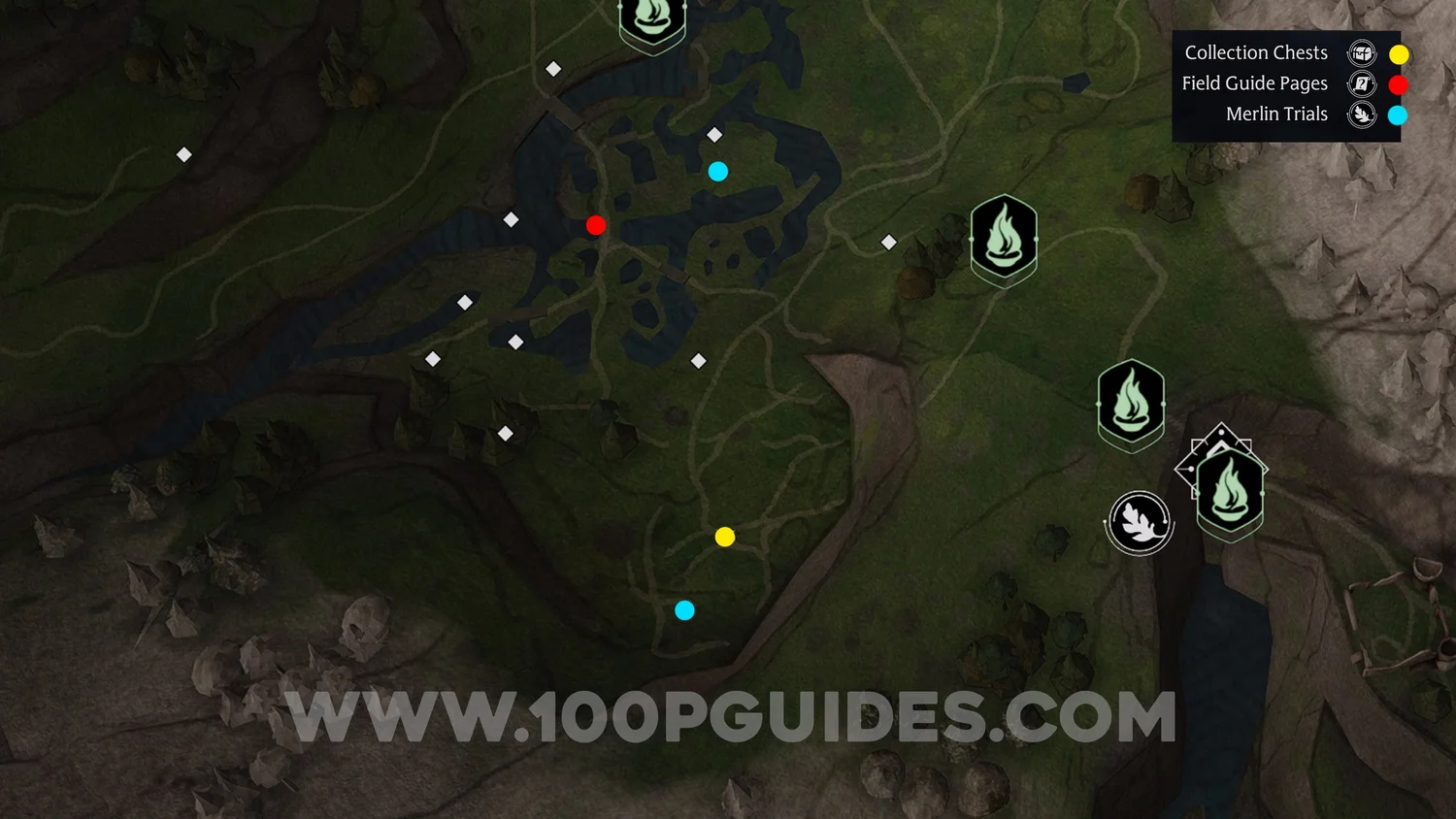 Hogwarts Legacy South Sea Bog All Collectible Locations — 100% Guides