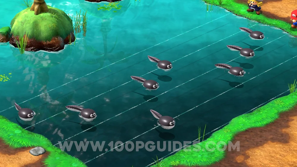 Super Mario RPG Remake Tadpole Pond Song Mini Game Guide — 100% Guides