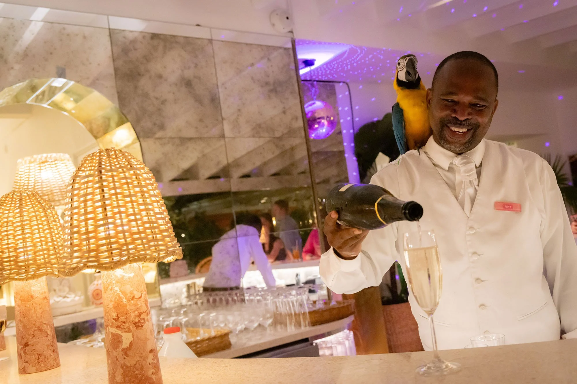 Barbados Cocktails — Cobblers Cove Barbados