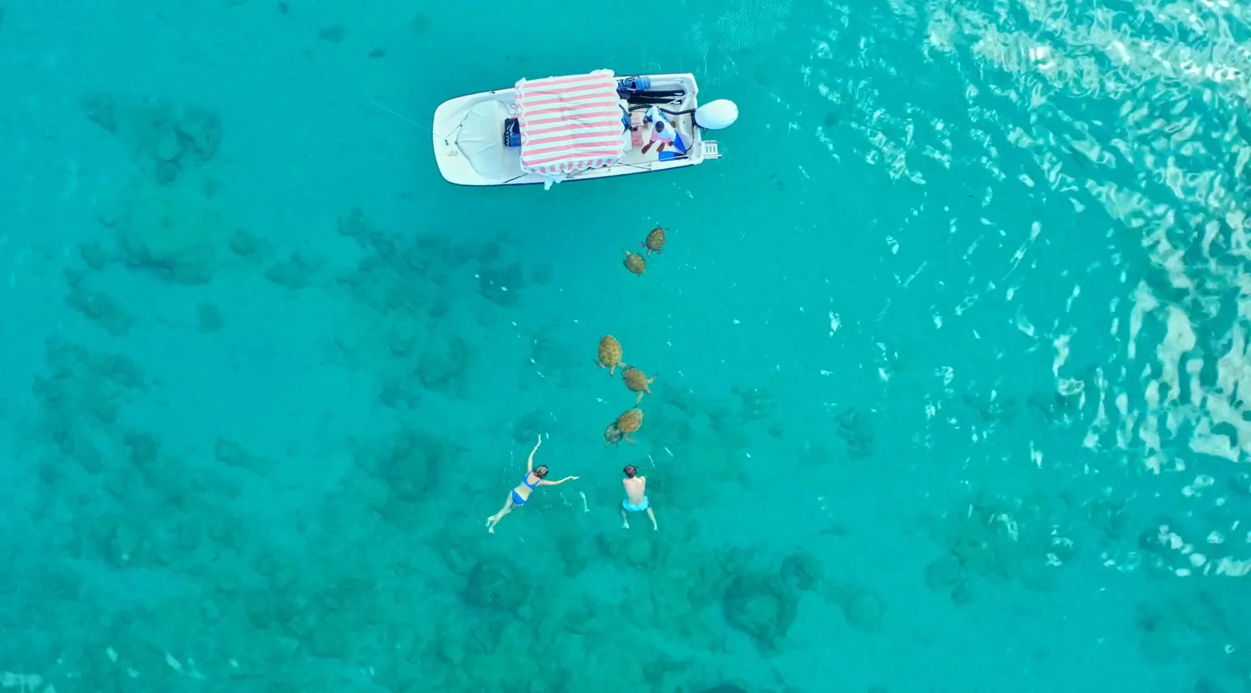 Things to do at Cobblers Cove — Cobblers Cove Barbados