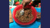 Maestro Cesar’s recipe: Kibis | A Mexican dish from the Middle East to ...