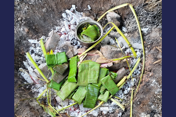 Pib: Maya Underground Cooking — Na'atik Language & Culture Institute