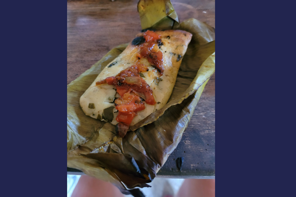 Pib: Maya Underground Cooking — Na'atik Language & Culture Institute