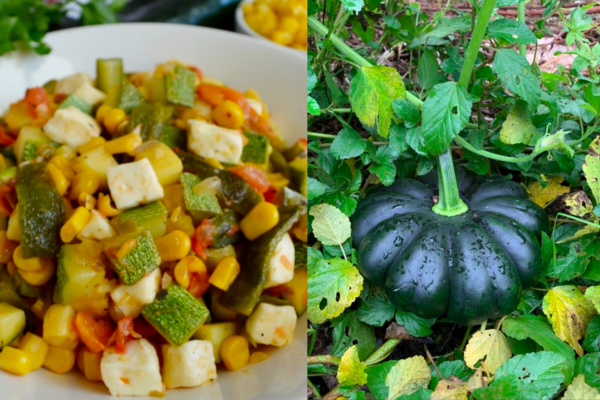 The Mexican-Maya Pantry: Part Five - Fruit and Vegetables — Na'atik ...