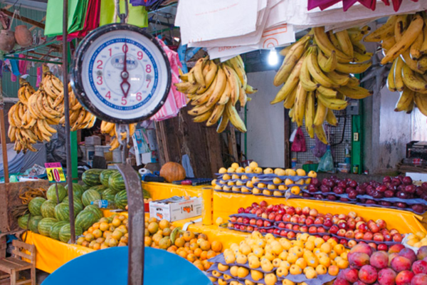 Blog | Na'atik Language & Culture Institute