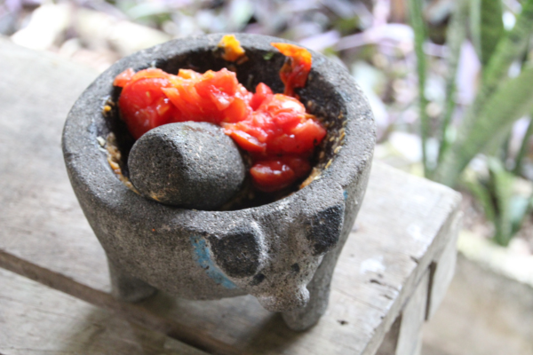 Recipe of the Month - Sikil Pak — Na'atik Language & Culture Institute