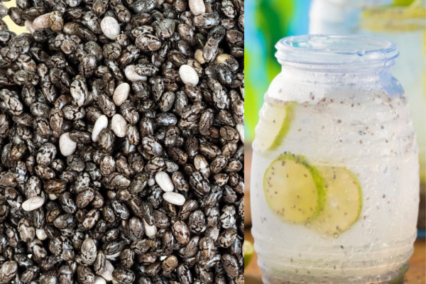 The Mexican-Maya Pantry: Part Six - Seeds and Nuts — Na'atik Language ...