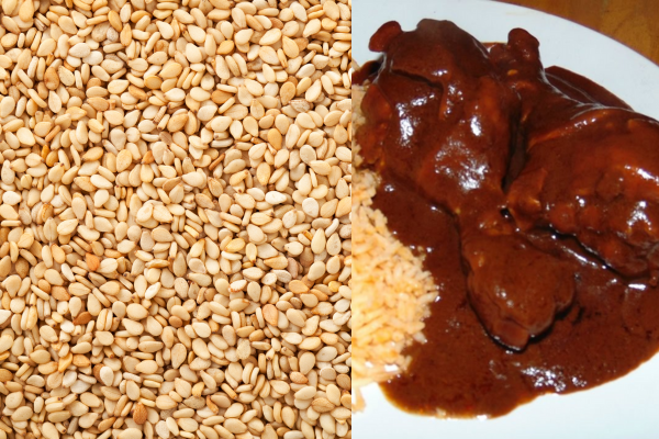 The Mexican-Maya Pantry: Part Six - Seeds and Nuts — Na'atik Language ...