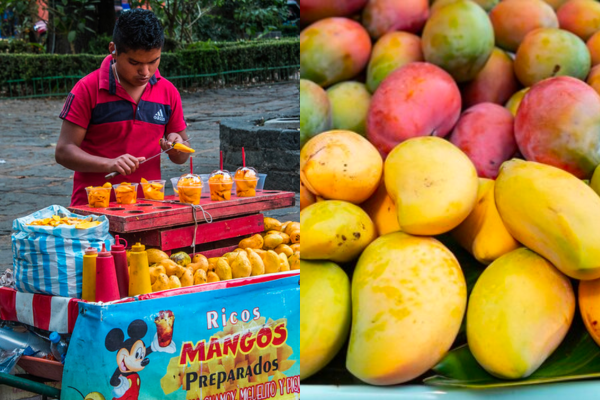 The Mexican-Maya Pantry: Part Five - Fruit and Vegetables — Na'atik ...