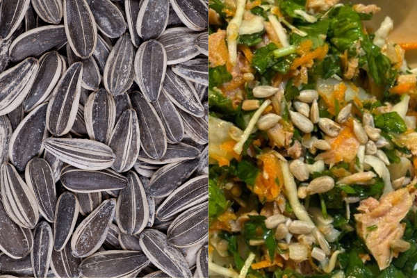 The Mexican-Maya Pantry: Part Six - Seeds and Nuts — Na'atik Language ...