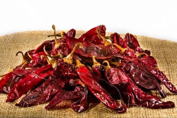 The Mexican-Maya Pantry - Part One: Chiles — Na'atik Language & Culture ...