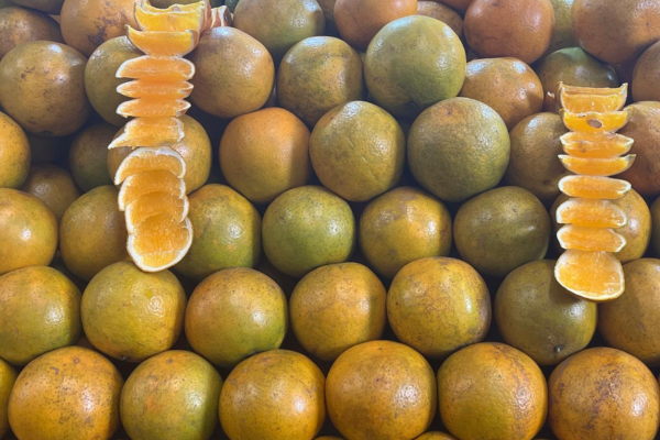 The Mexican-Maya Pantry: Part Five - Fruit and Vegetables — Na'atik ...