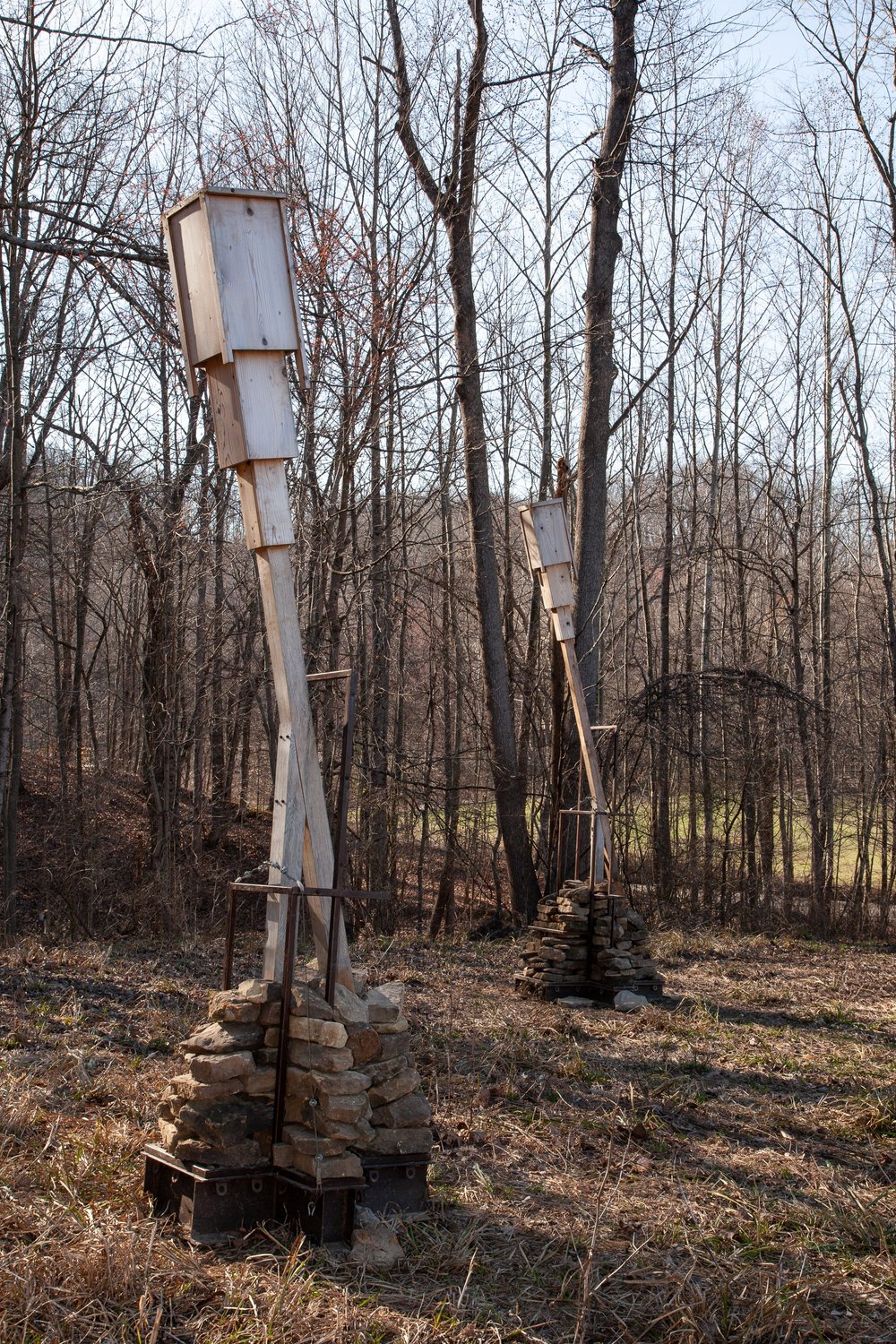 Joyce Hwang — Brose Partington Studio