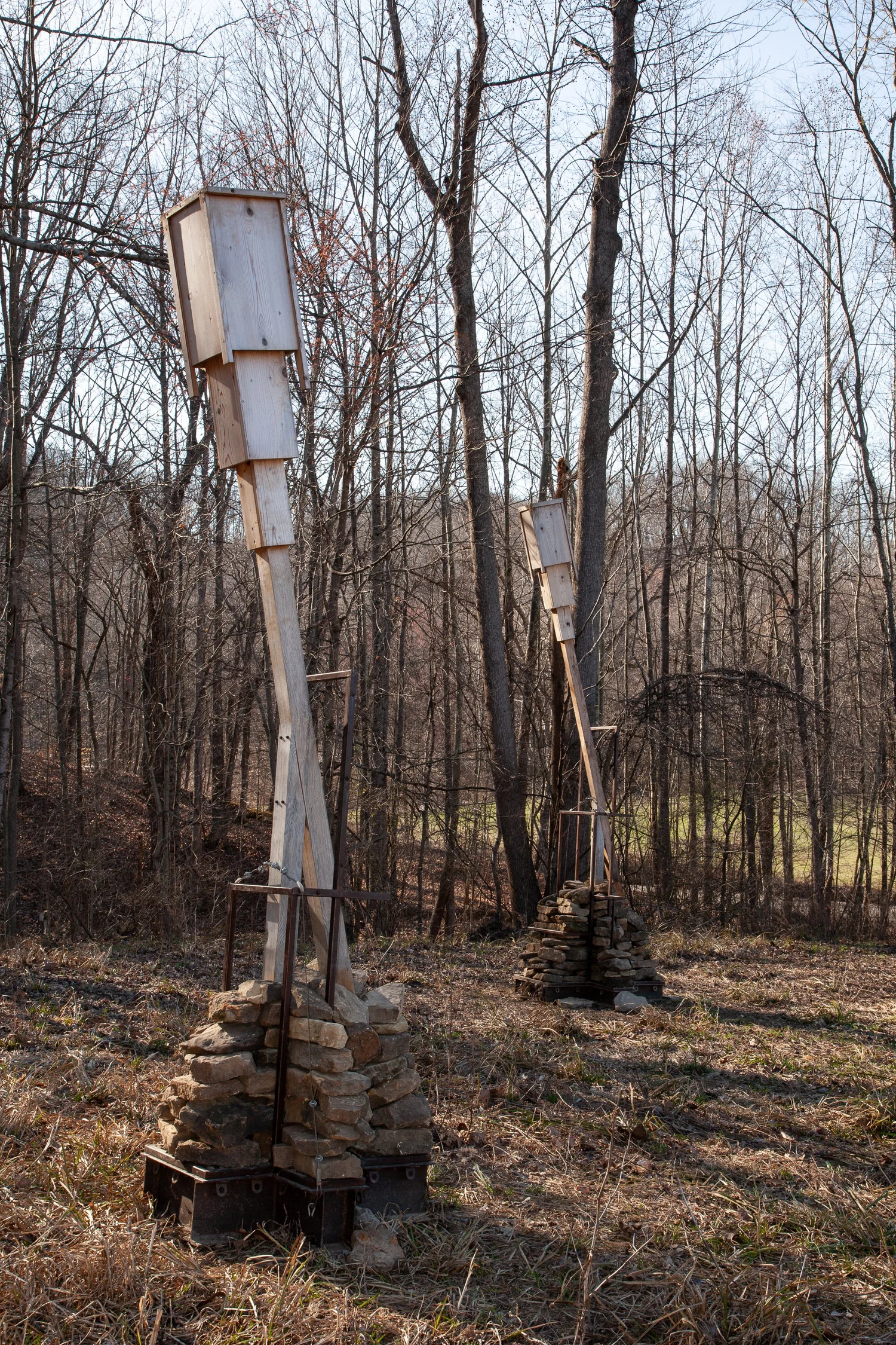 Joyce Hwang — Brose Partington Studio