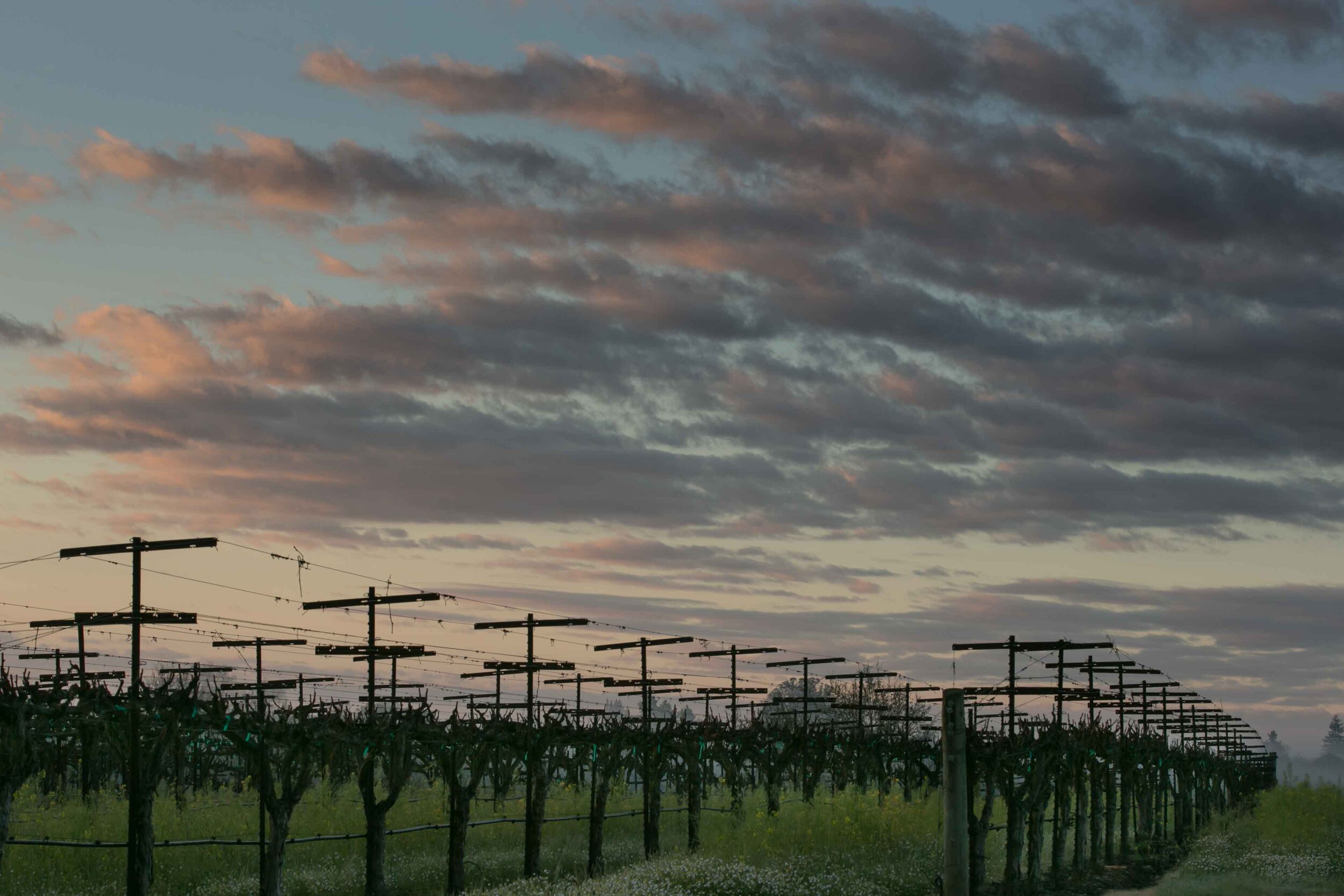 Contact 1 — Dutton Ranch