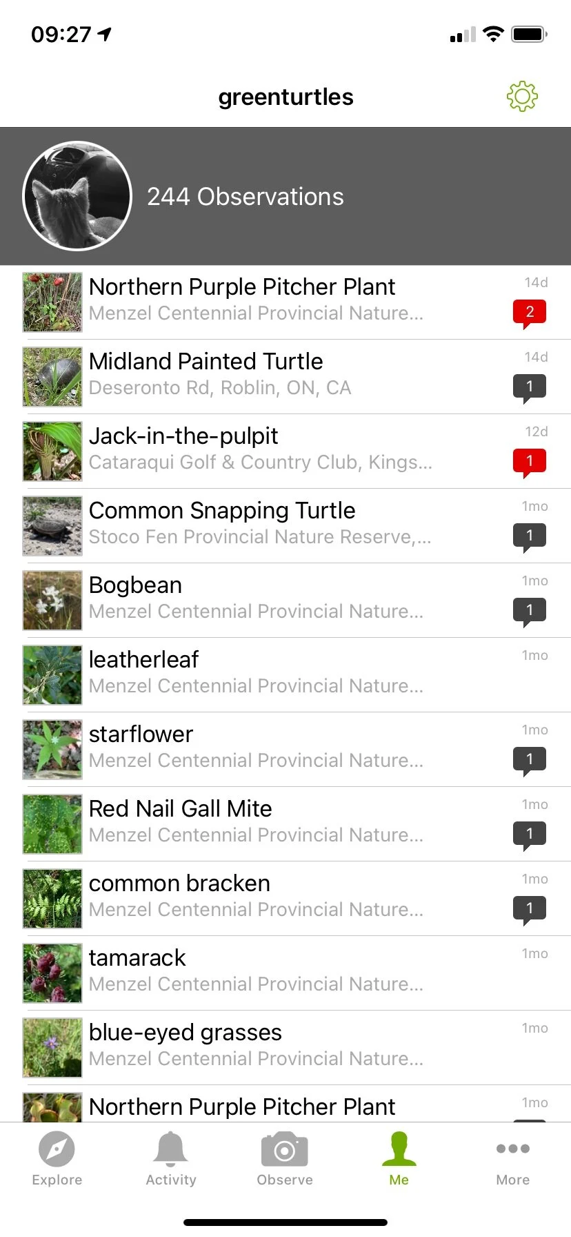 Reporting Sightings — Turtles Kingston