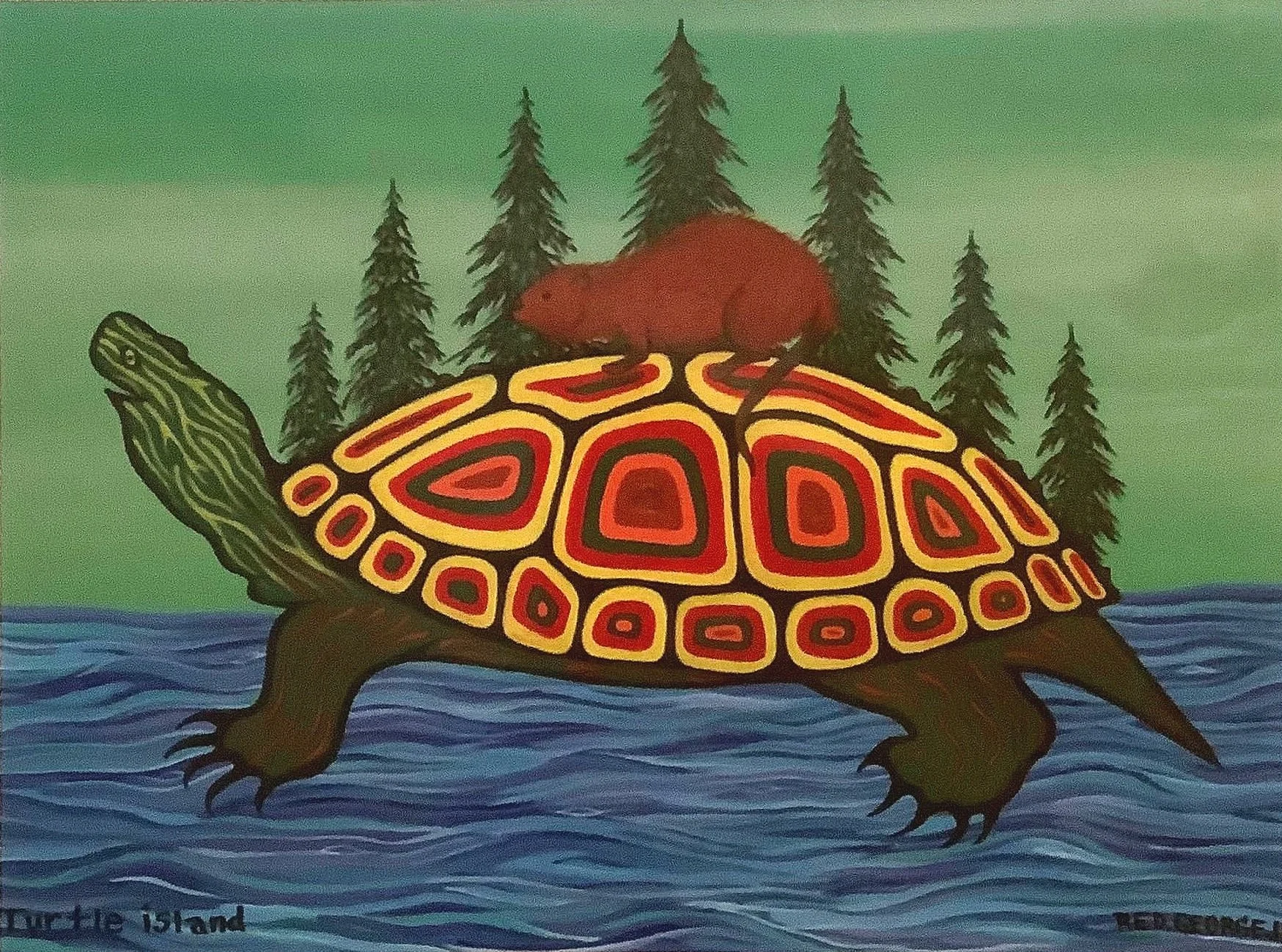 What would happen if turtles went extinct? — Turtles Kingston