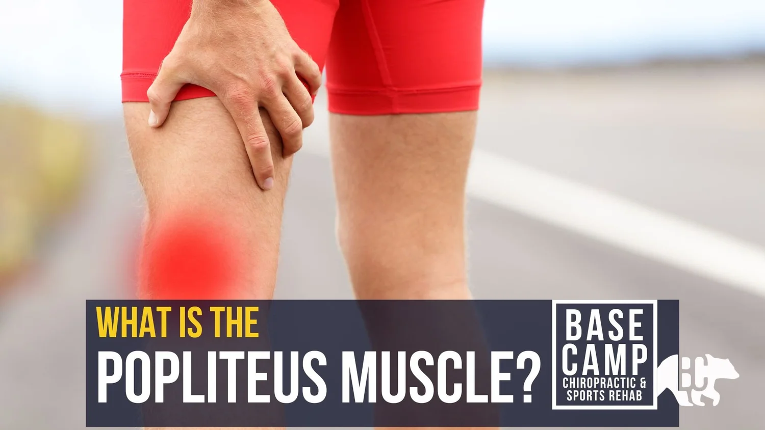What is the popliteus muscle? — Sports Chiropractor Vernon BC