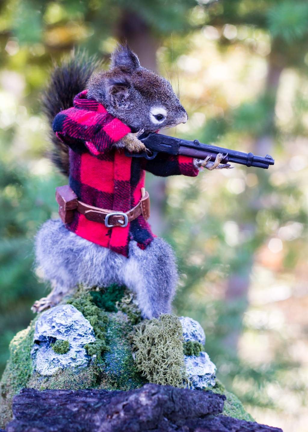 Shop — Squirrel Warriors