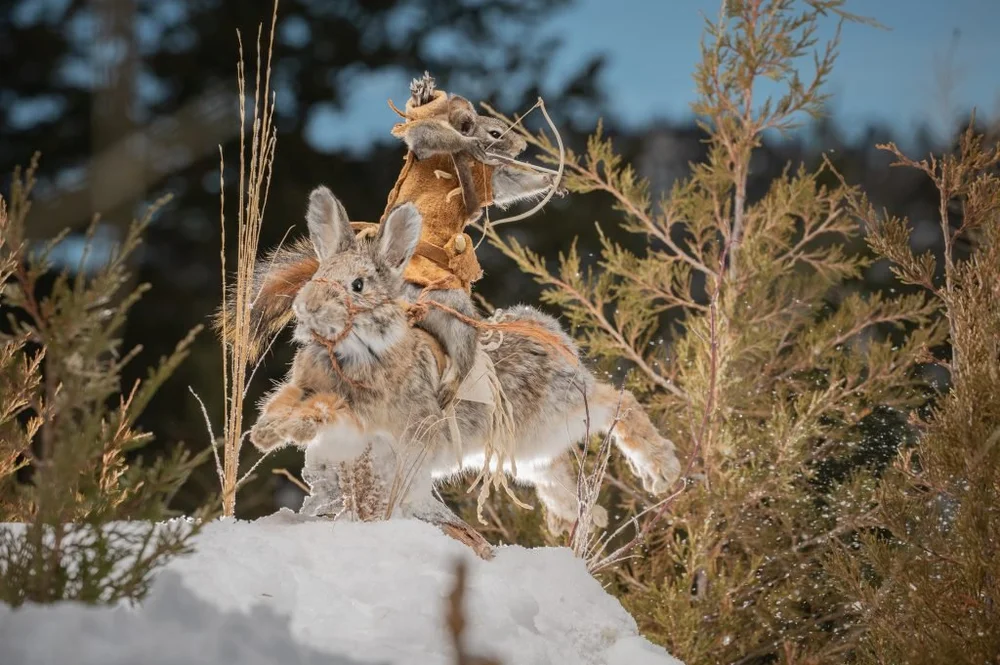 Shop — Squirrel Warriors