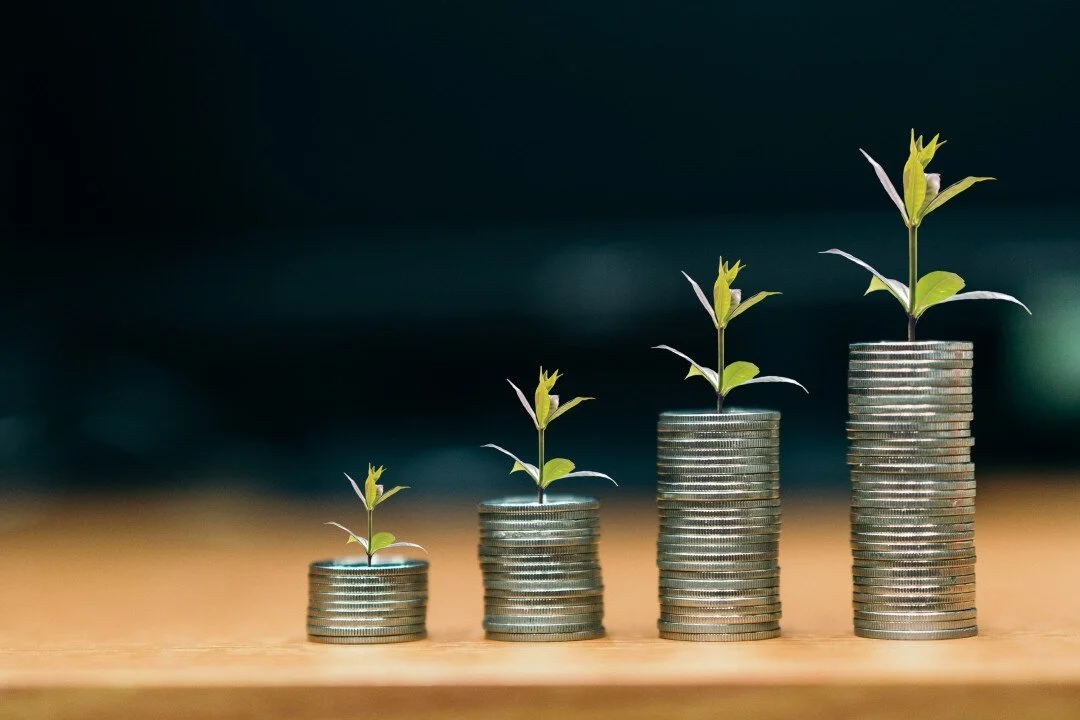 Survive Reset Thrive