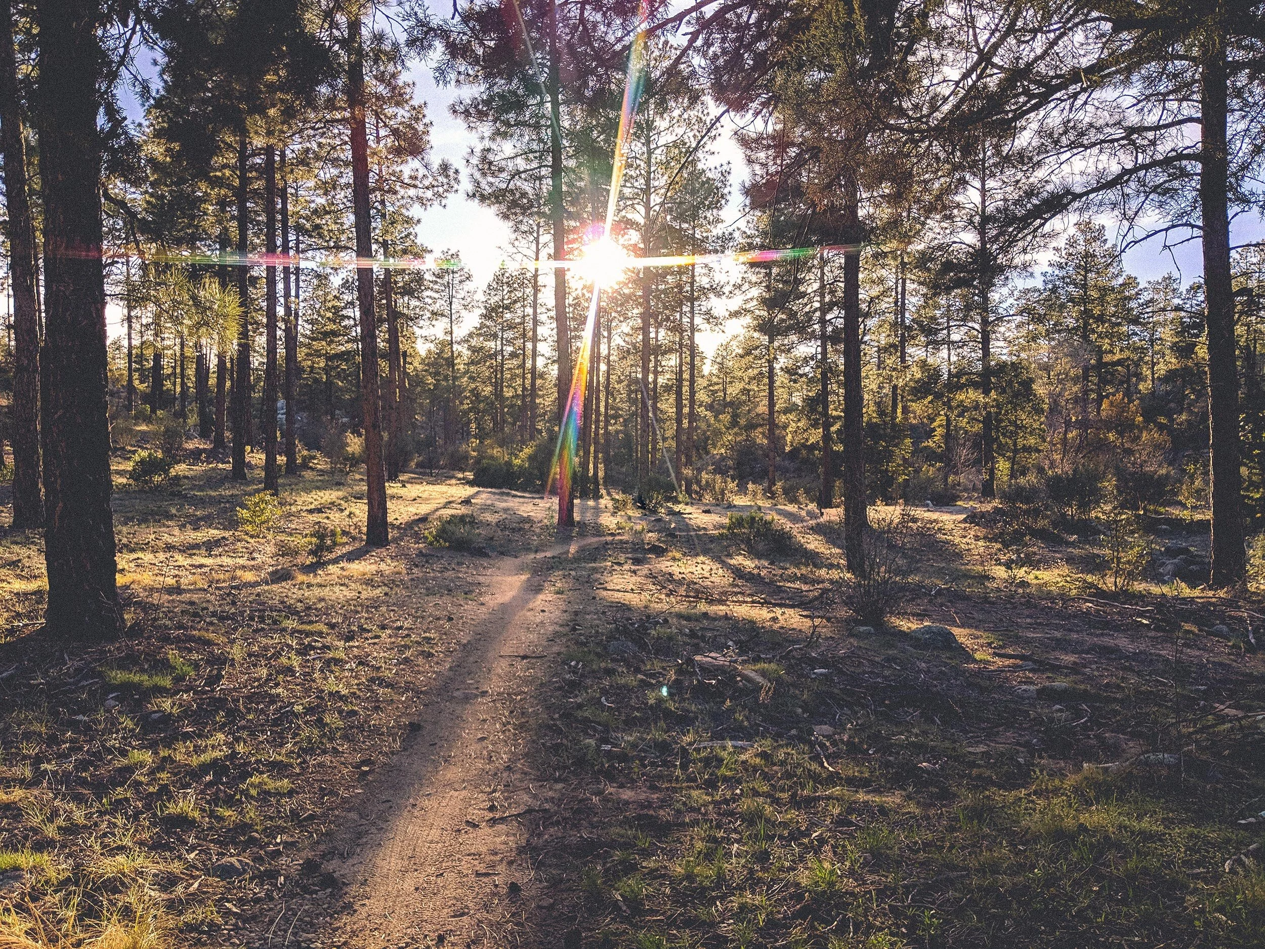 Prescott Trails Challenge