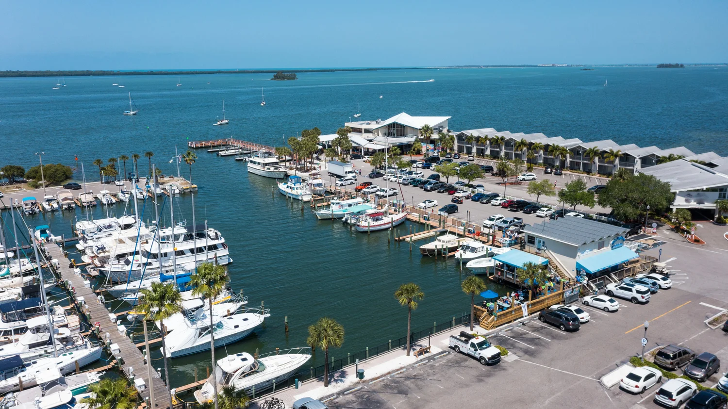 Events, Things to Do & Local Life in Dunedin FL — DunedinLove®