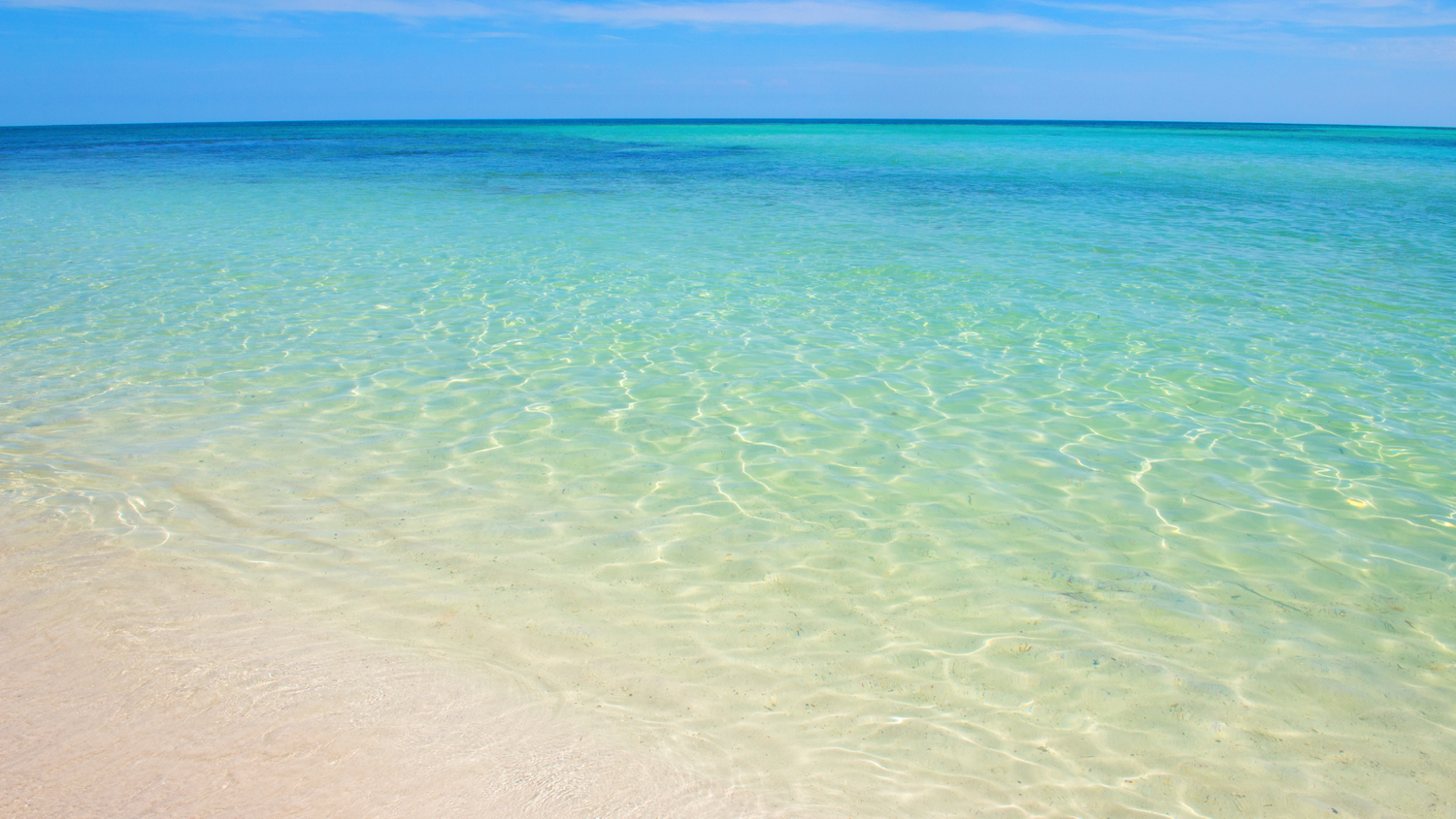 Discover the Best Schools in Dunedin, Florida: A Guide for Families ...