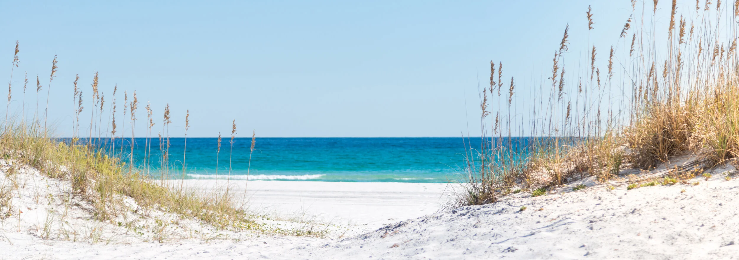 Dunedin Florida | Pinellas County Florida Tourism | Visit Dunedin FL ...