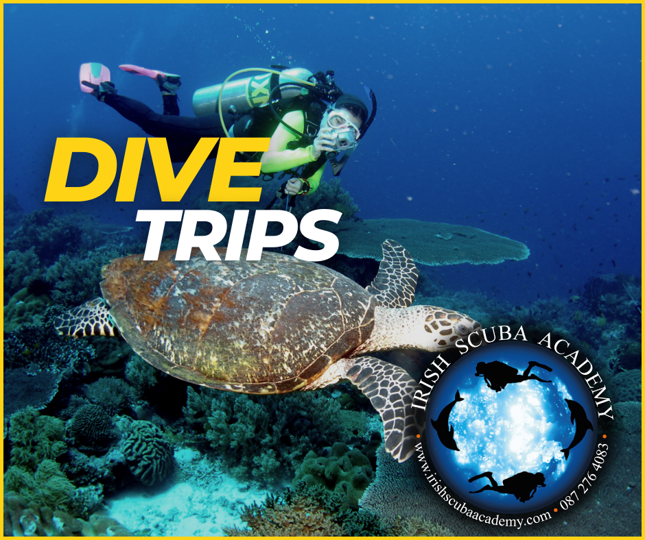 Irish Scuba Academy