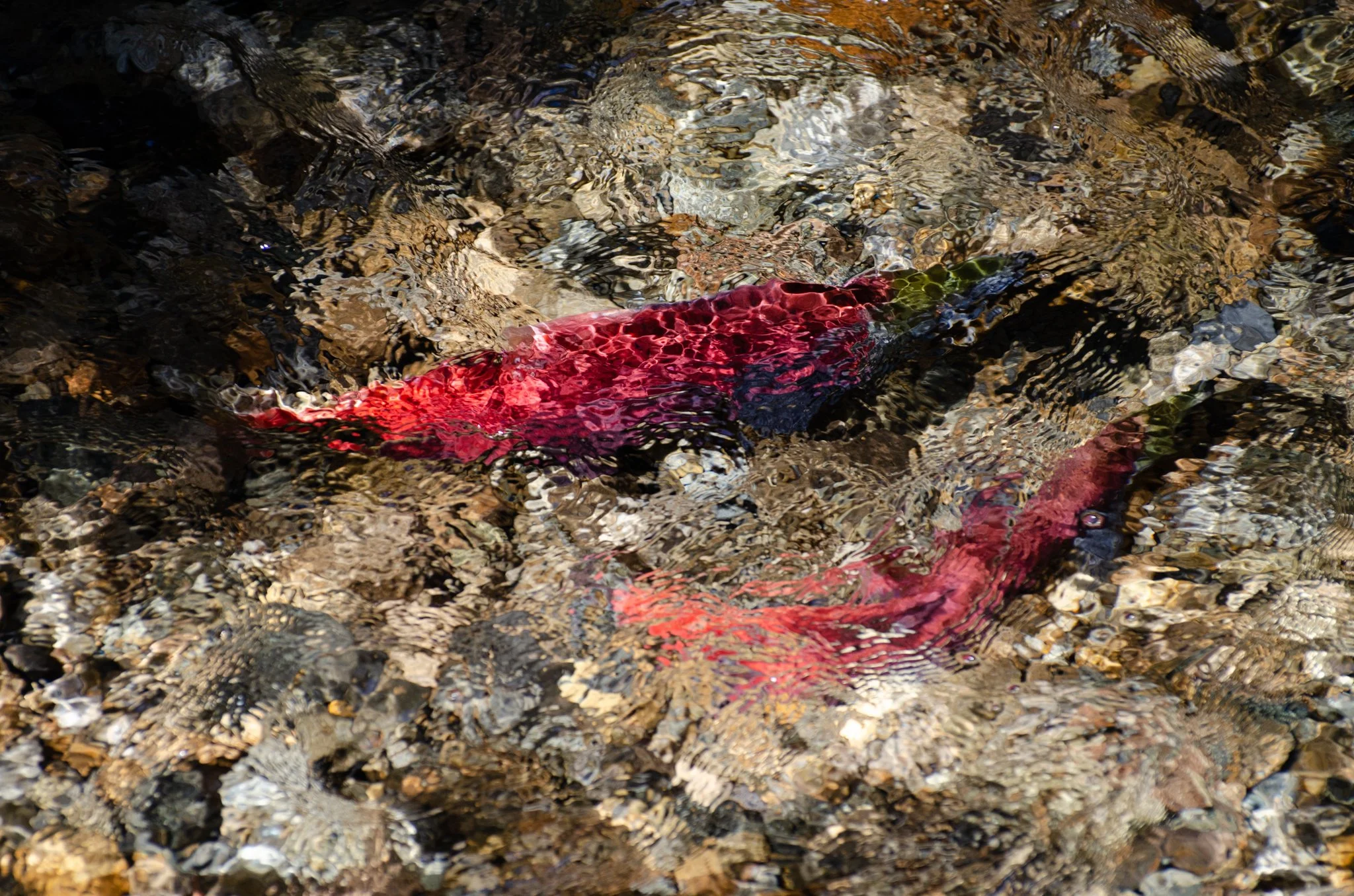 Workshops and Retreats — Studioterra