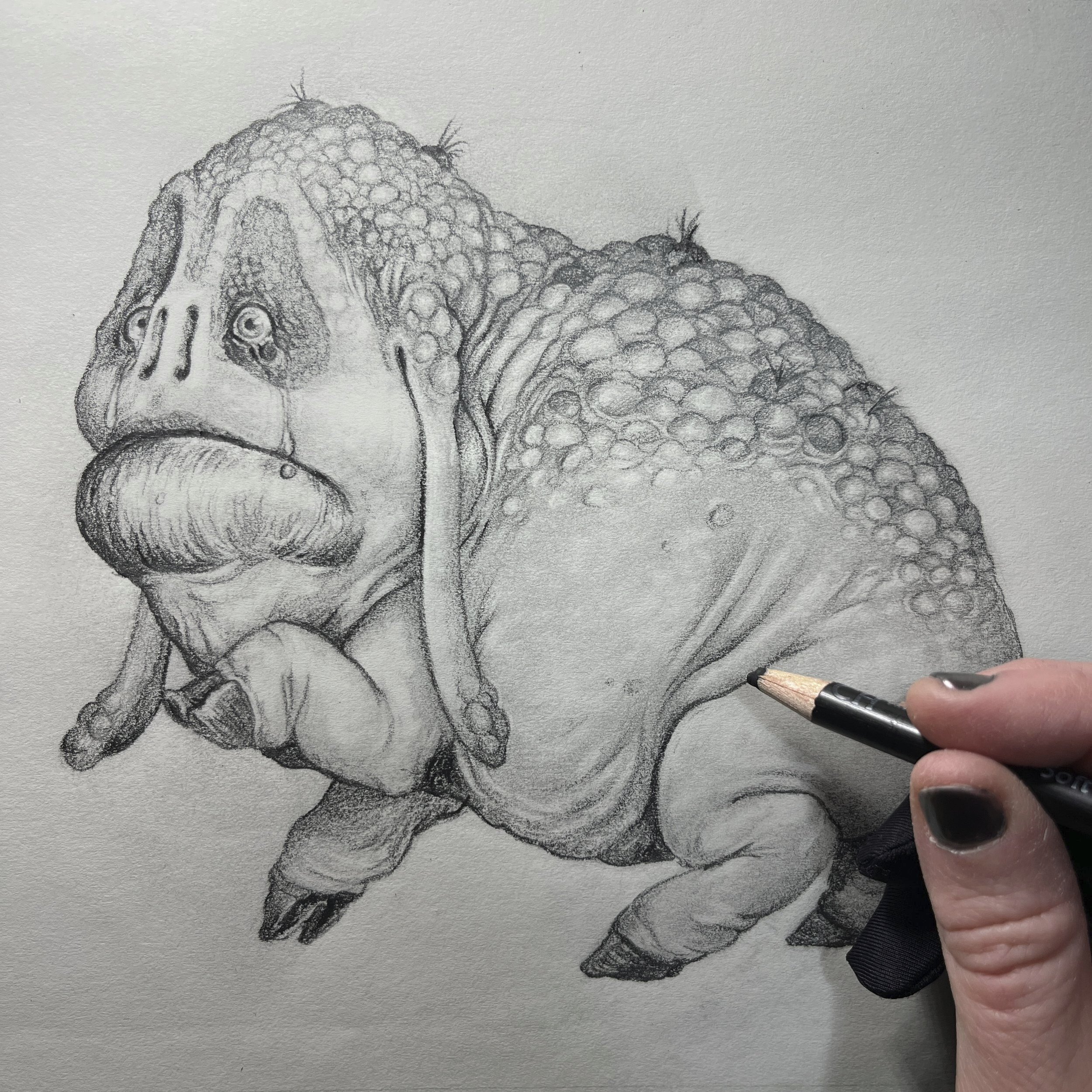 Home of Karen Sim, Creature Artist and Illustrator