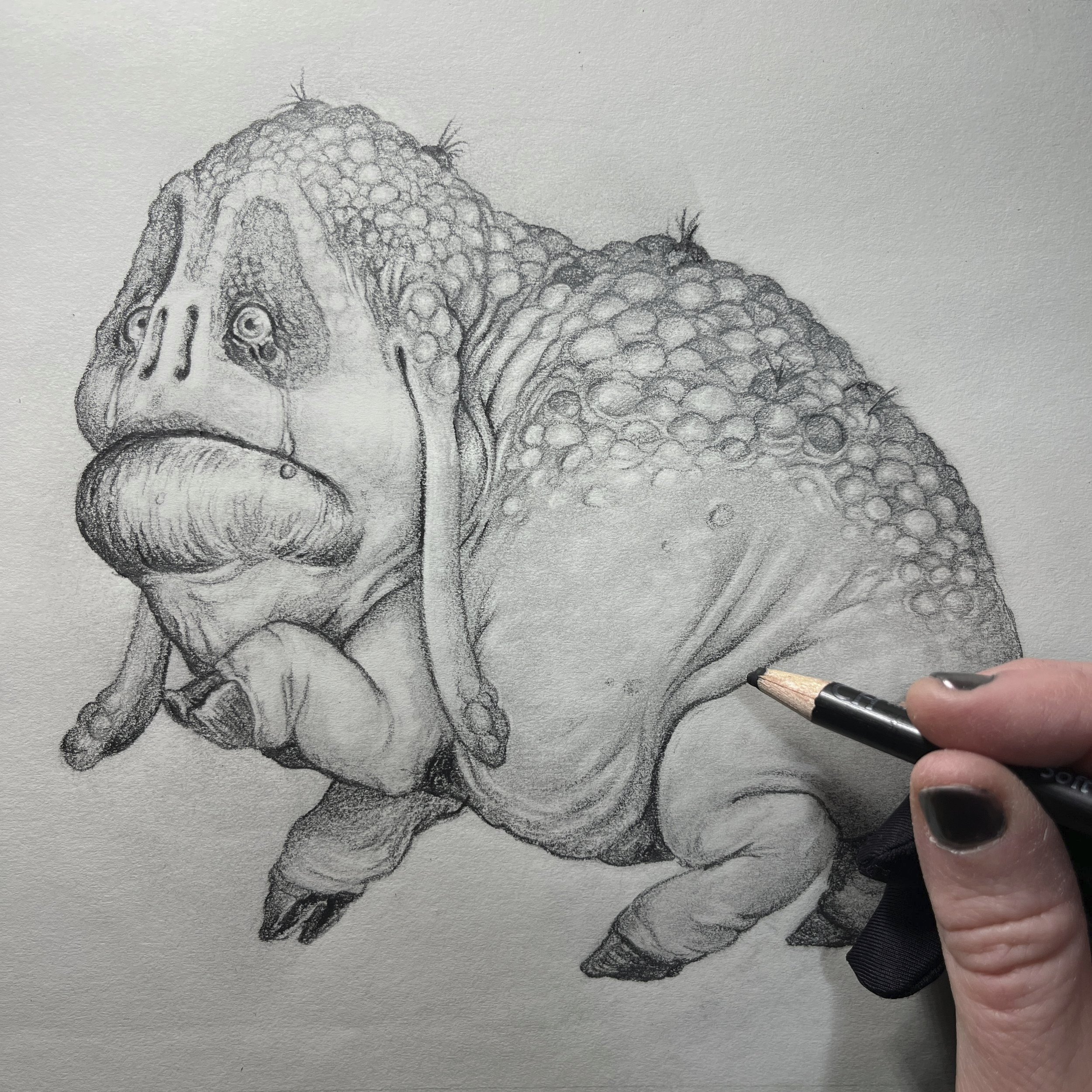 Home of Karen Sim, Creature Artist and Illustrator Home of Karen Sim, Creature Artist and Illustrator