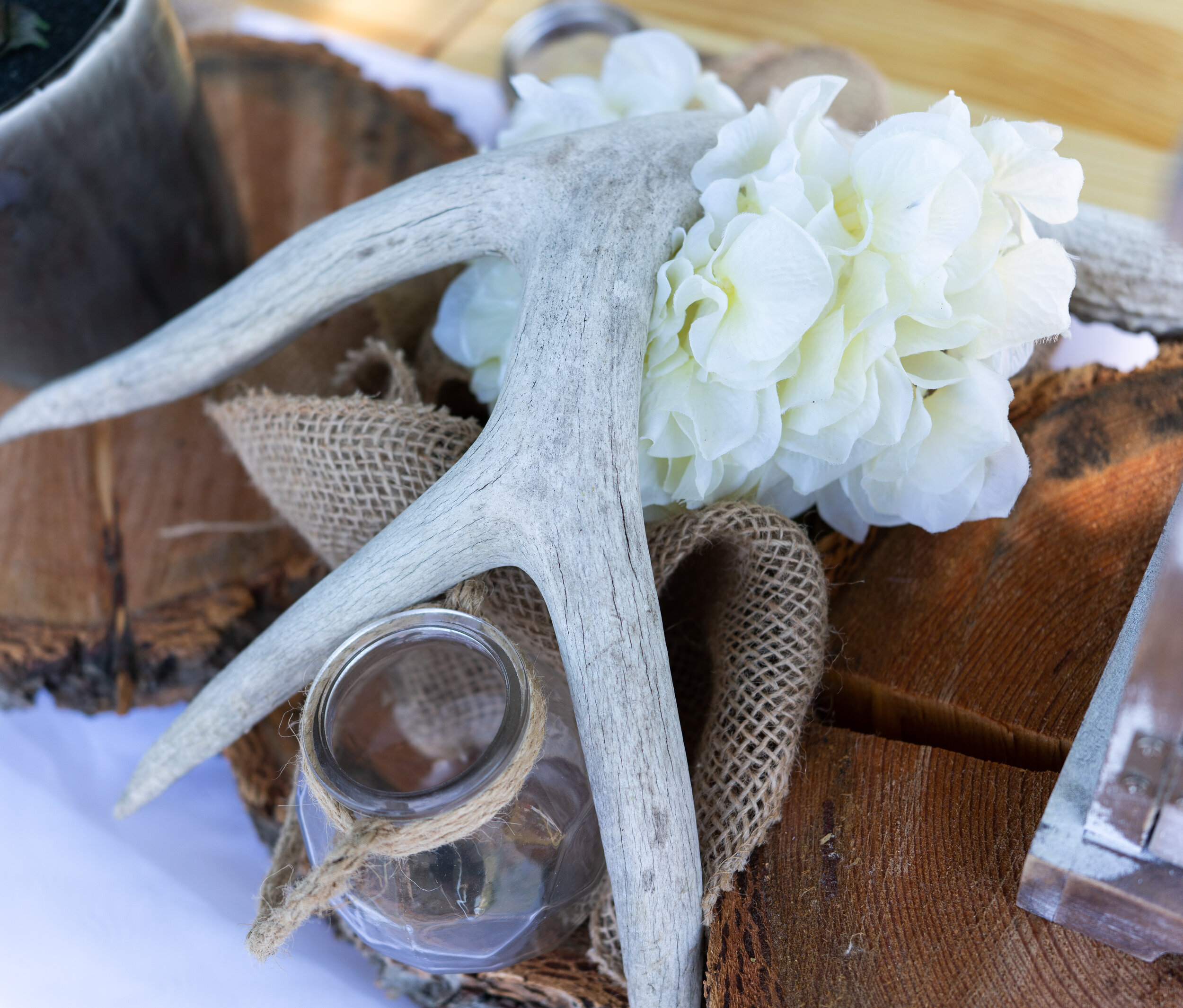 Captivating Occasions Inc.