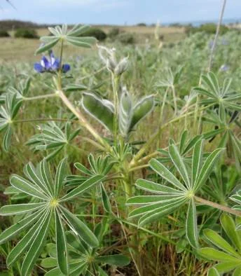 General 4 — Fleurieu Environment Centre