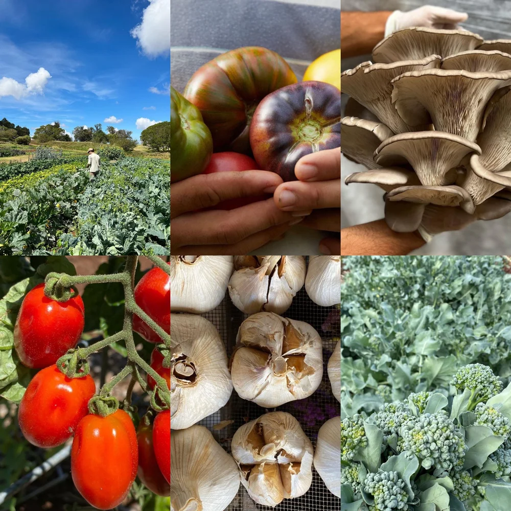 About — Maui Pizza & Woodfired Delicacies | Restaurant Marlow