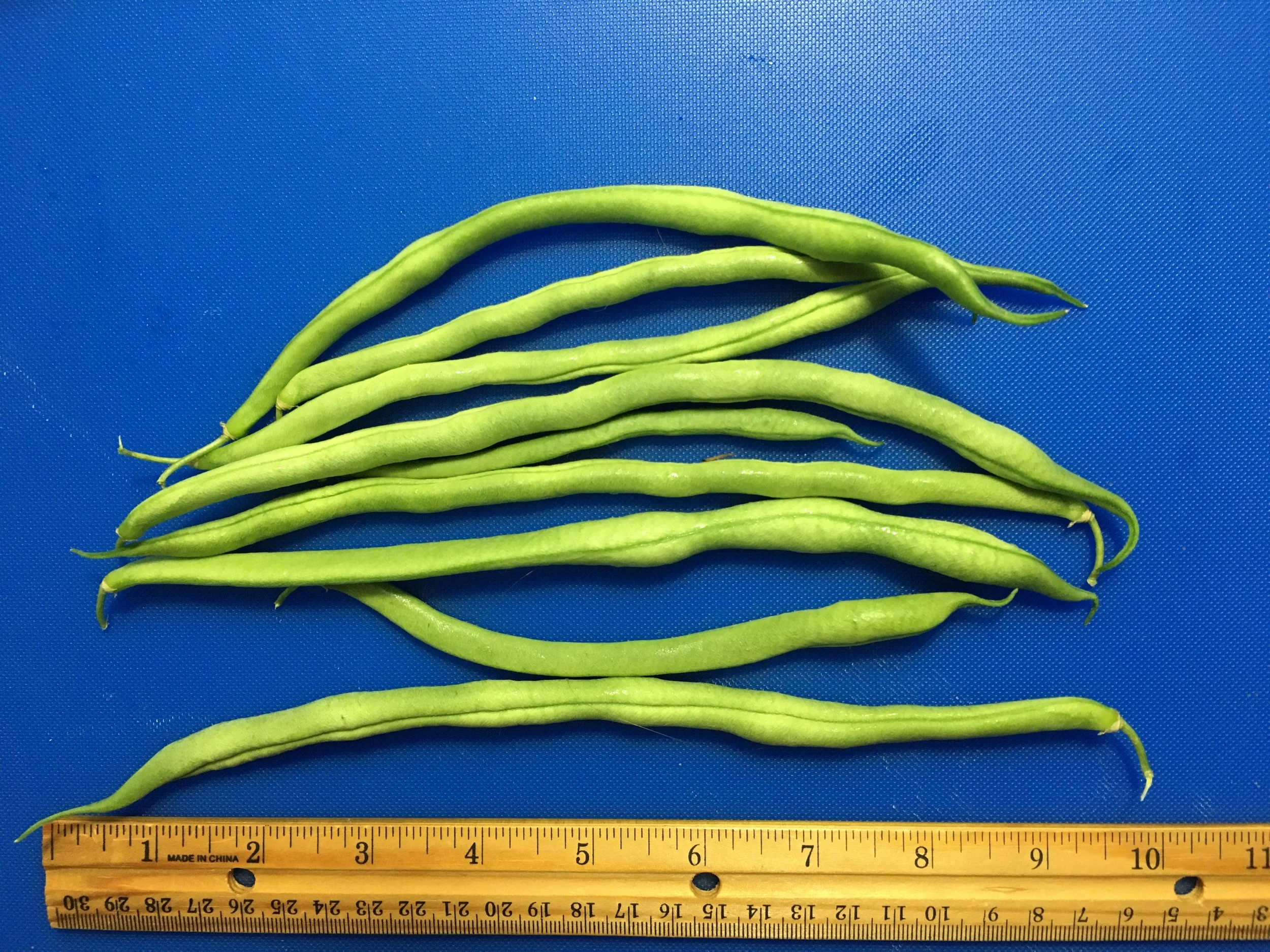 Spring Plant Sale — FARM ON 7TH