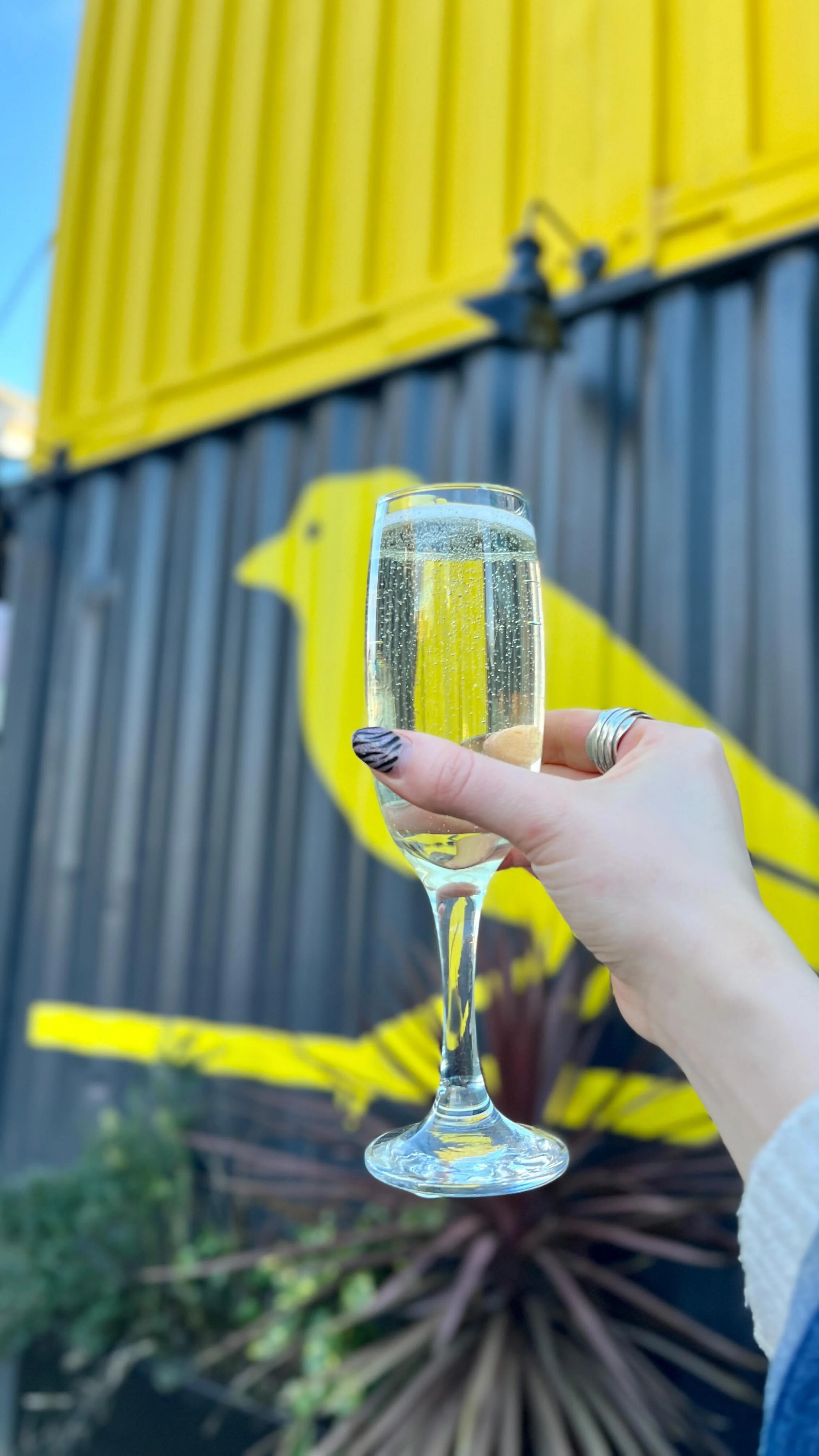 Canary Bar - Bar & Kitchen, Nested in Leeds Dock