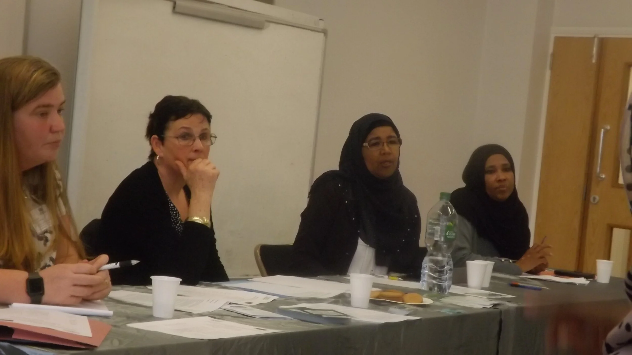 Somali Development Services