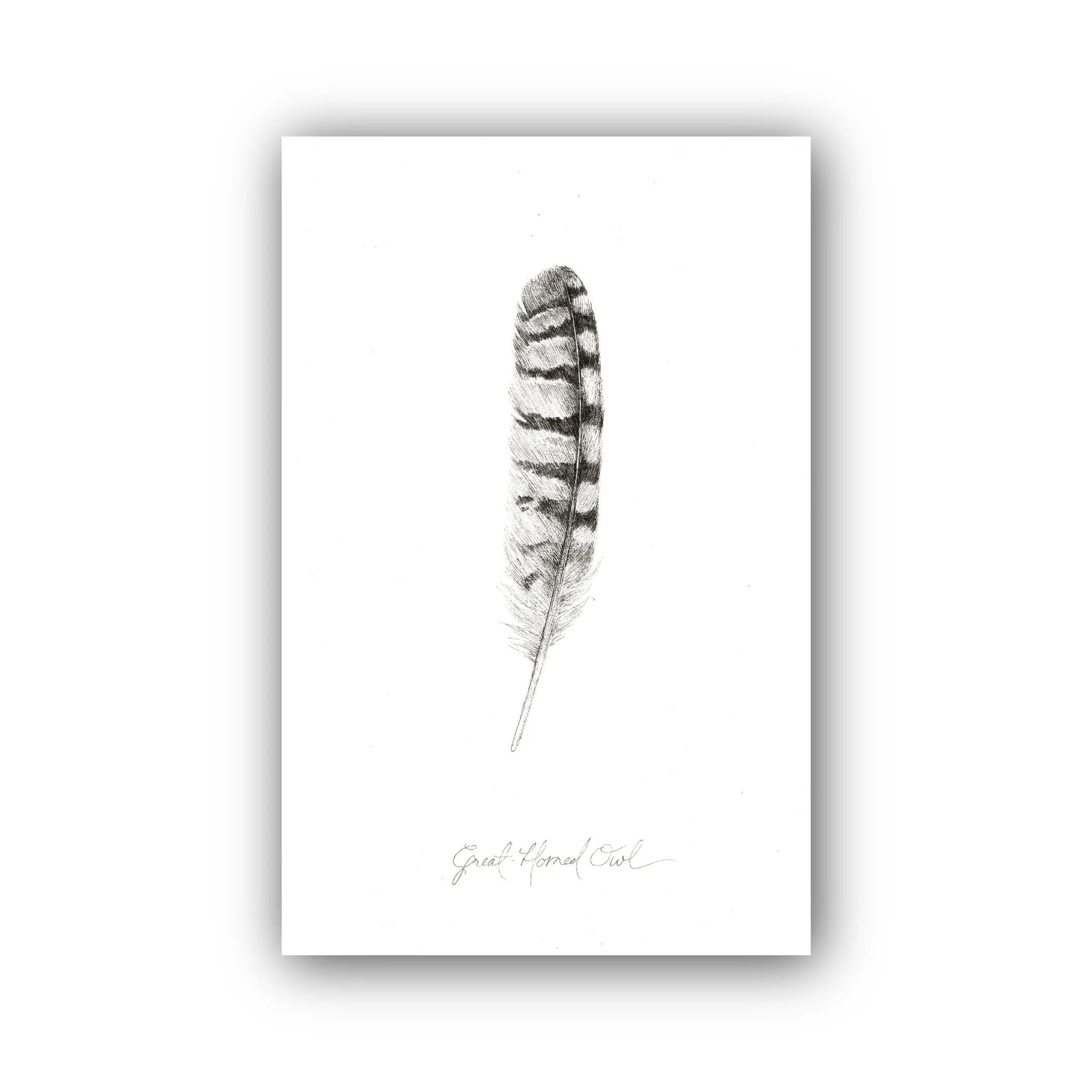 Alexandra Bowers Art