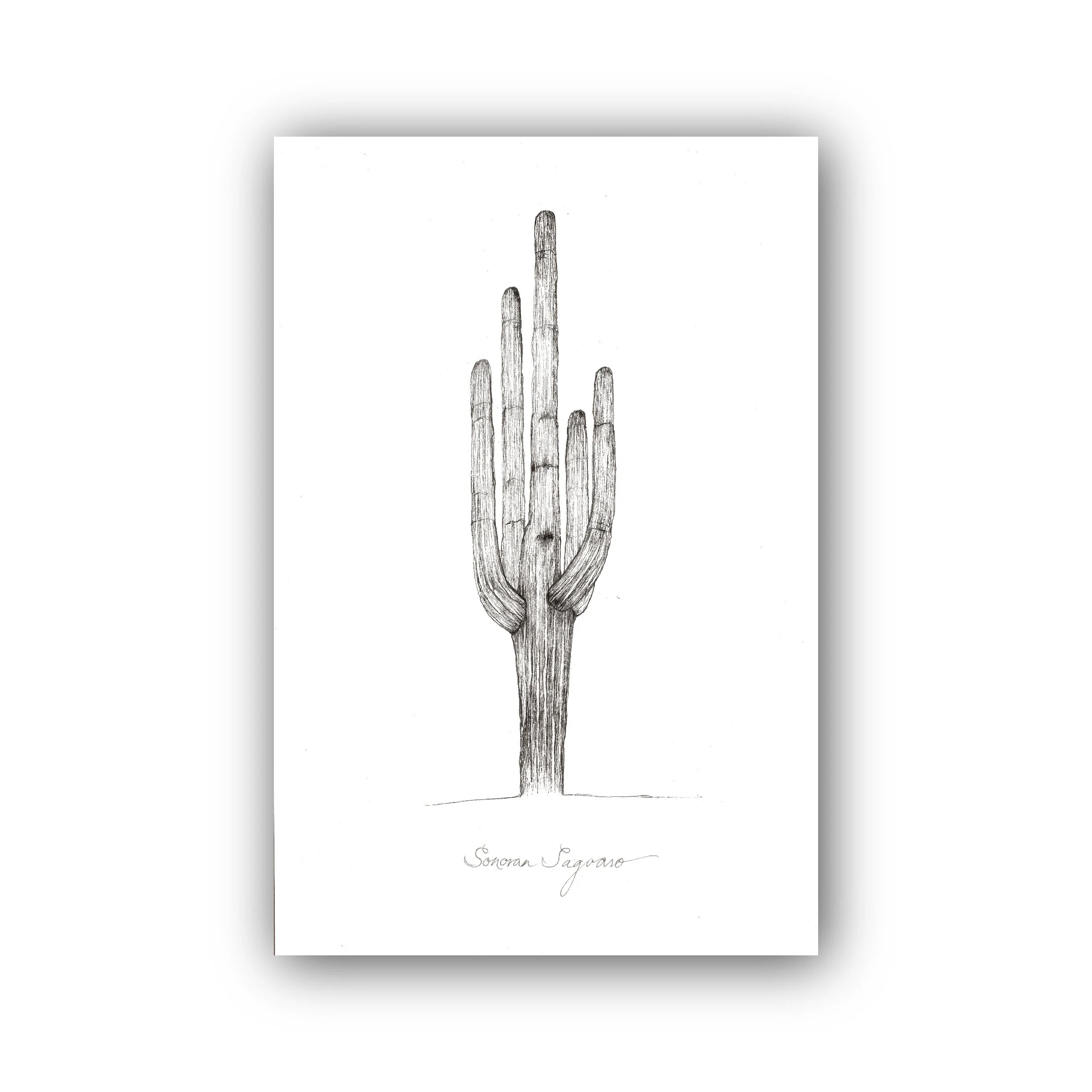 Alexandra Bowers Art