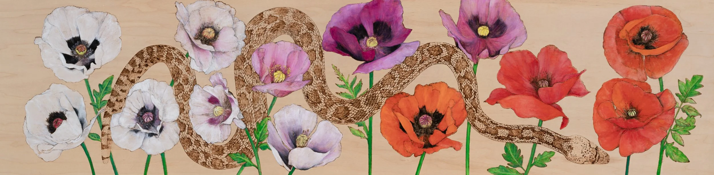 Alexandra Bowers Art