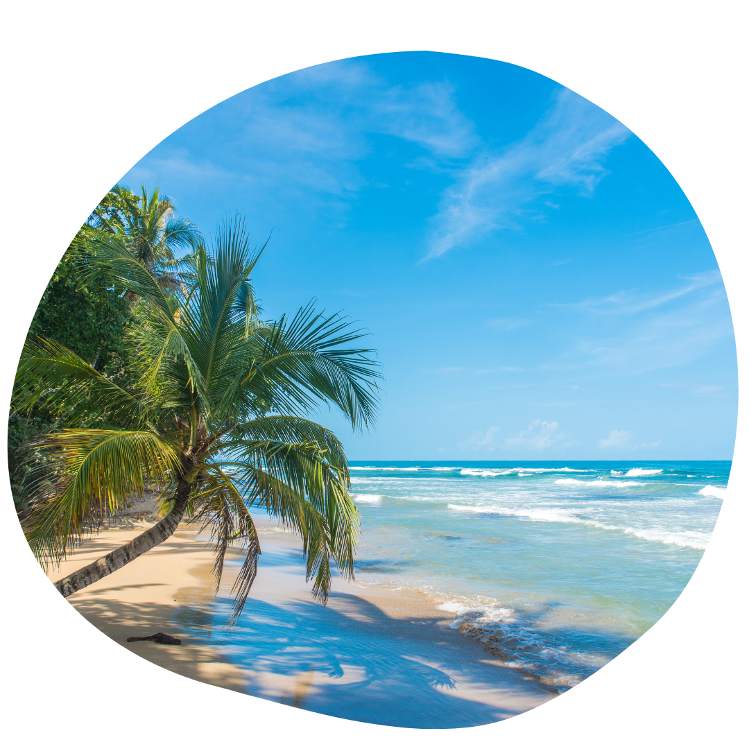 Municipalidad de Garabito — Munis.cr