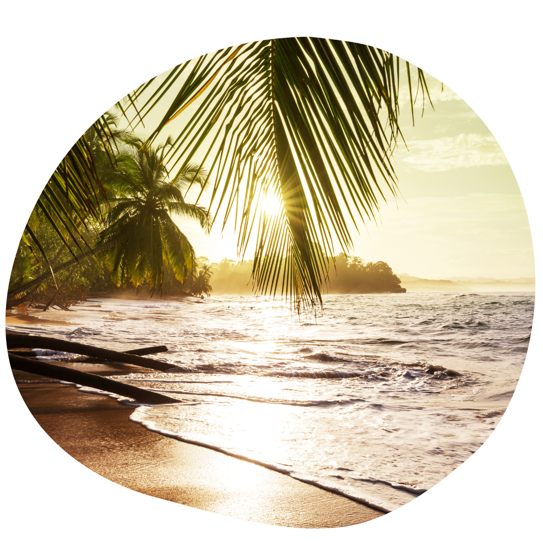 Municipalidad de Matina — Munis.cr