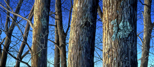 Our Artists — Pleiades Gallery