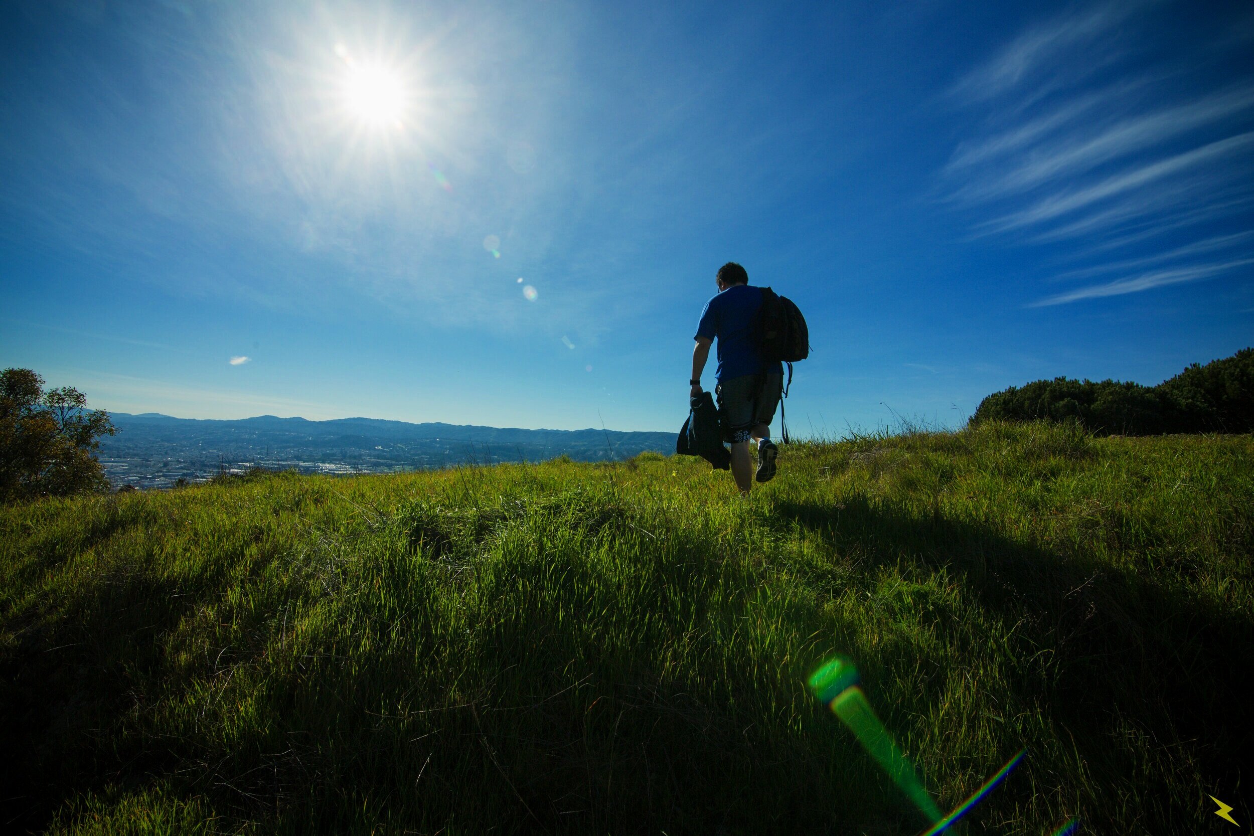 Casey Chow Counseling