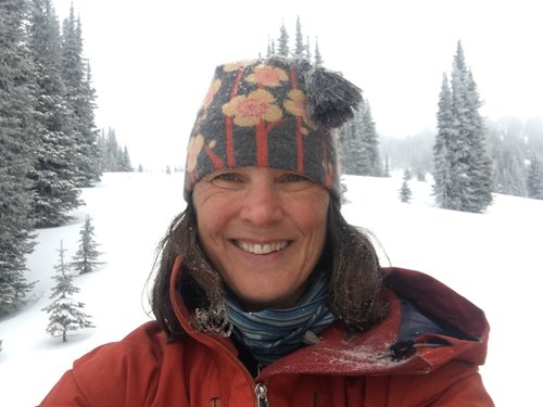 Ecological Resilience and Resistance — The Science Writer