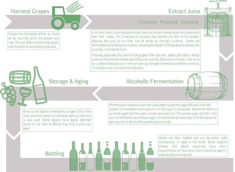 Steps of Winemaking — The Northside Social